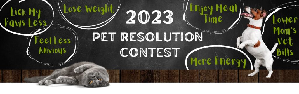 Pet Resolution Contest | Bentley's Pet Stuff